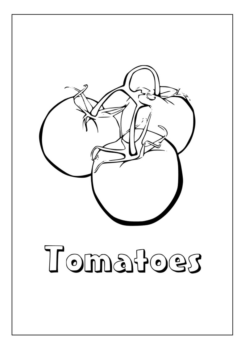 Printable Tomato Coloring Pages for Kids & Adults | 35 Pages | Instant ...