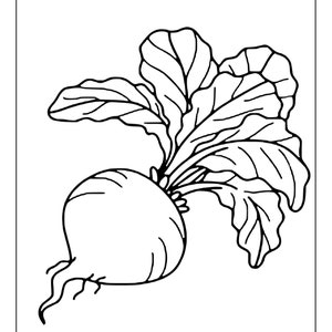 Printable Vegetables Coloring Pages for Kids and Adults | 35 Pages ...