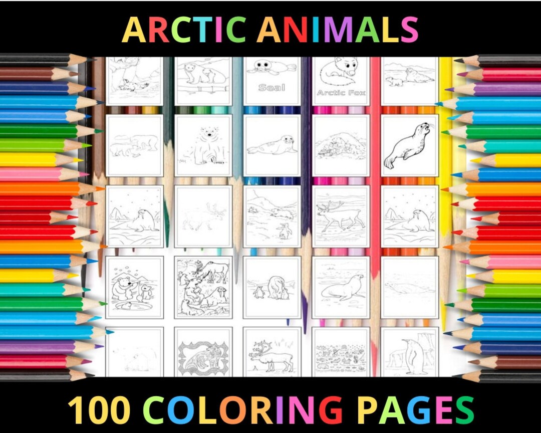 Printable Arctic Animals Coloring Pages for Kids and Adults |100 Pages ...
