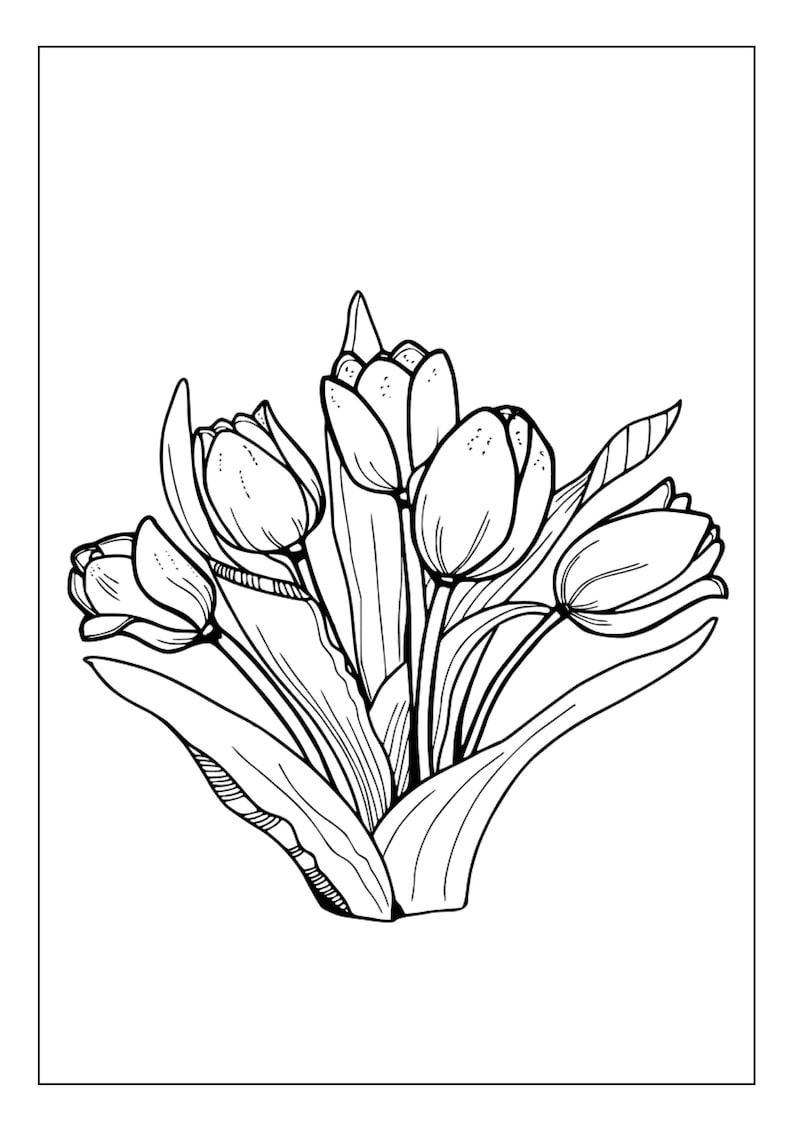 Printable Tulip Coloring Pages for Kids & Adults | 40 Pages | Digital ...