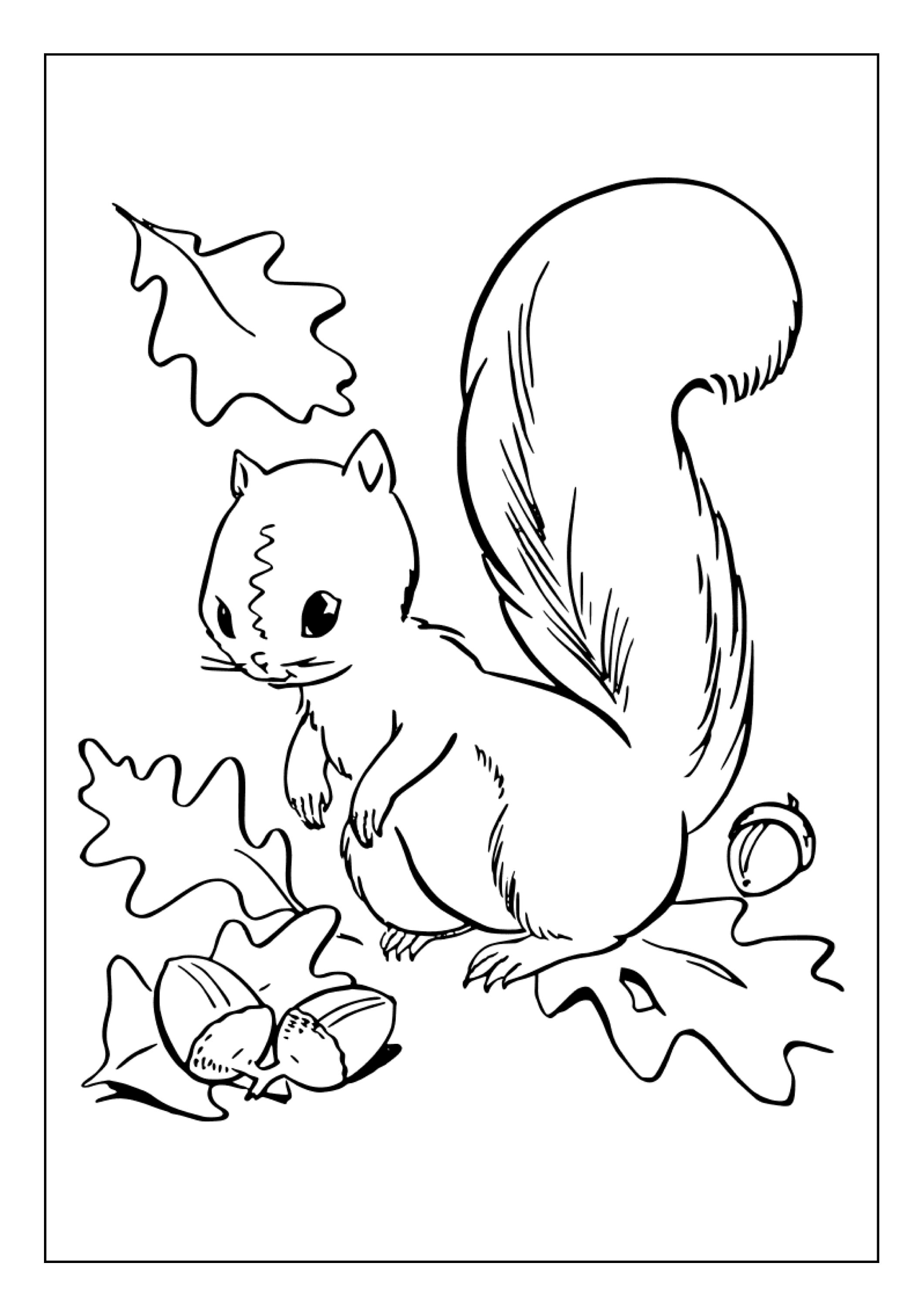 Printable Squirrel Coloring Pages for Kids and Adults 80 Pages Instant ...