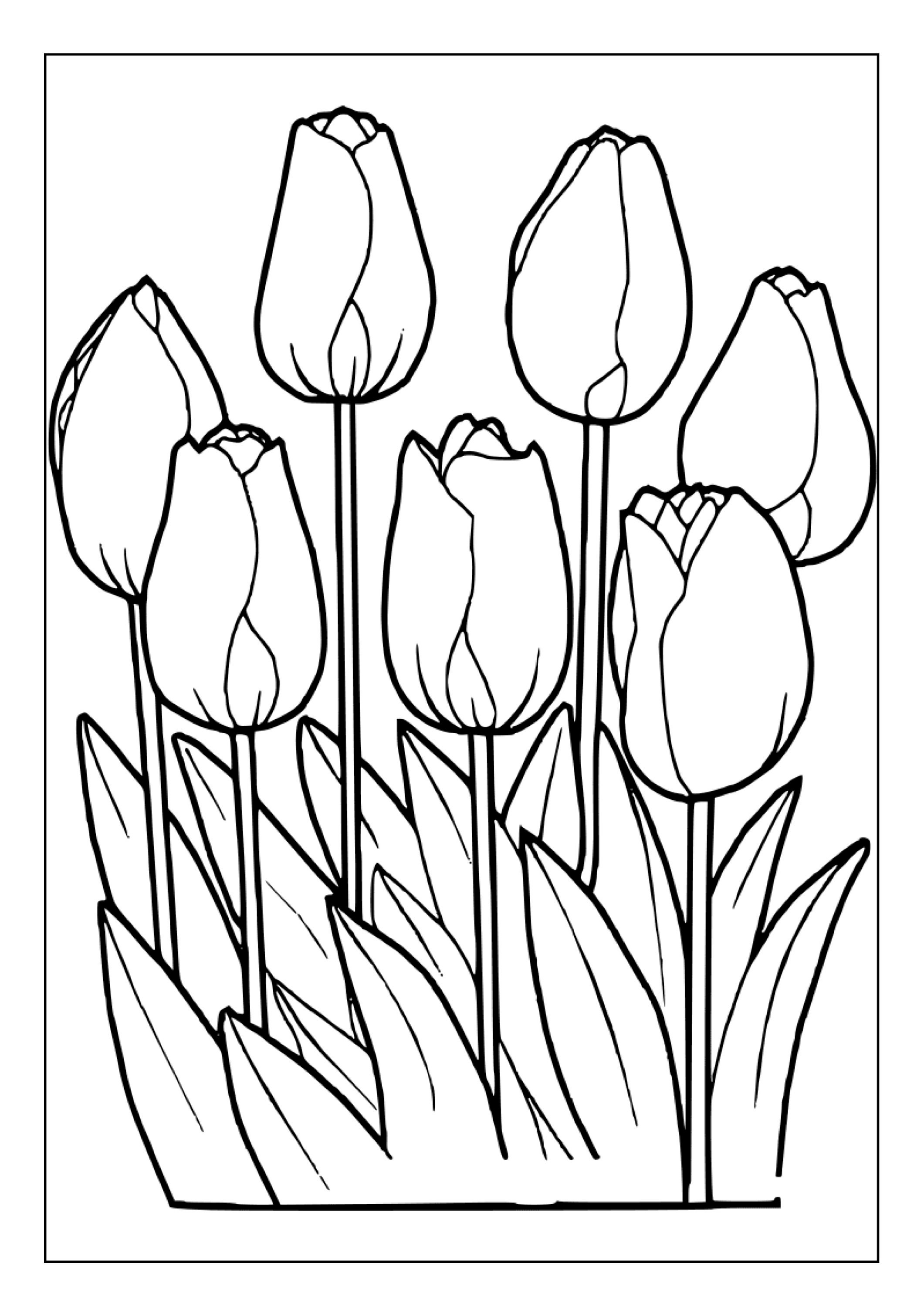Printable Tulip Coloring Pages for Kids & Adults | 40 Pages | Digital ...