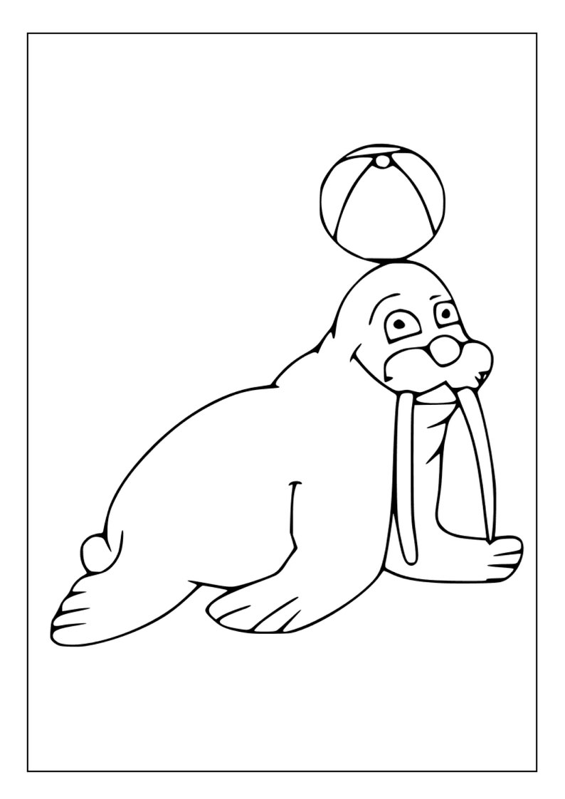 Printable Walrus Coloring Pages for Kids & Adults | 30 Pages | Instant ...