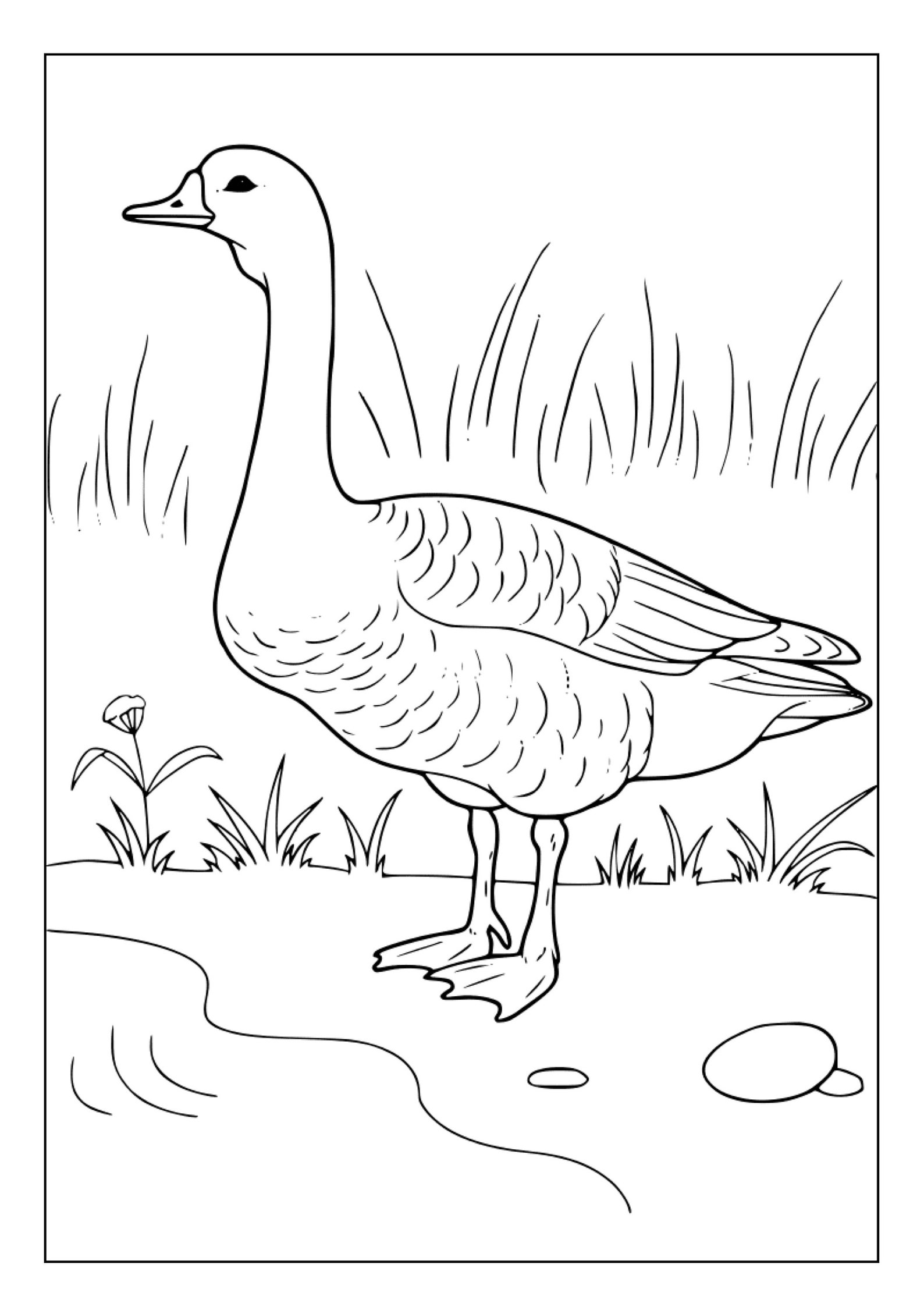 Printable Goose Coloring Pages for Kids & Adults | 30 Pages | Instant ...