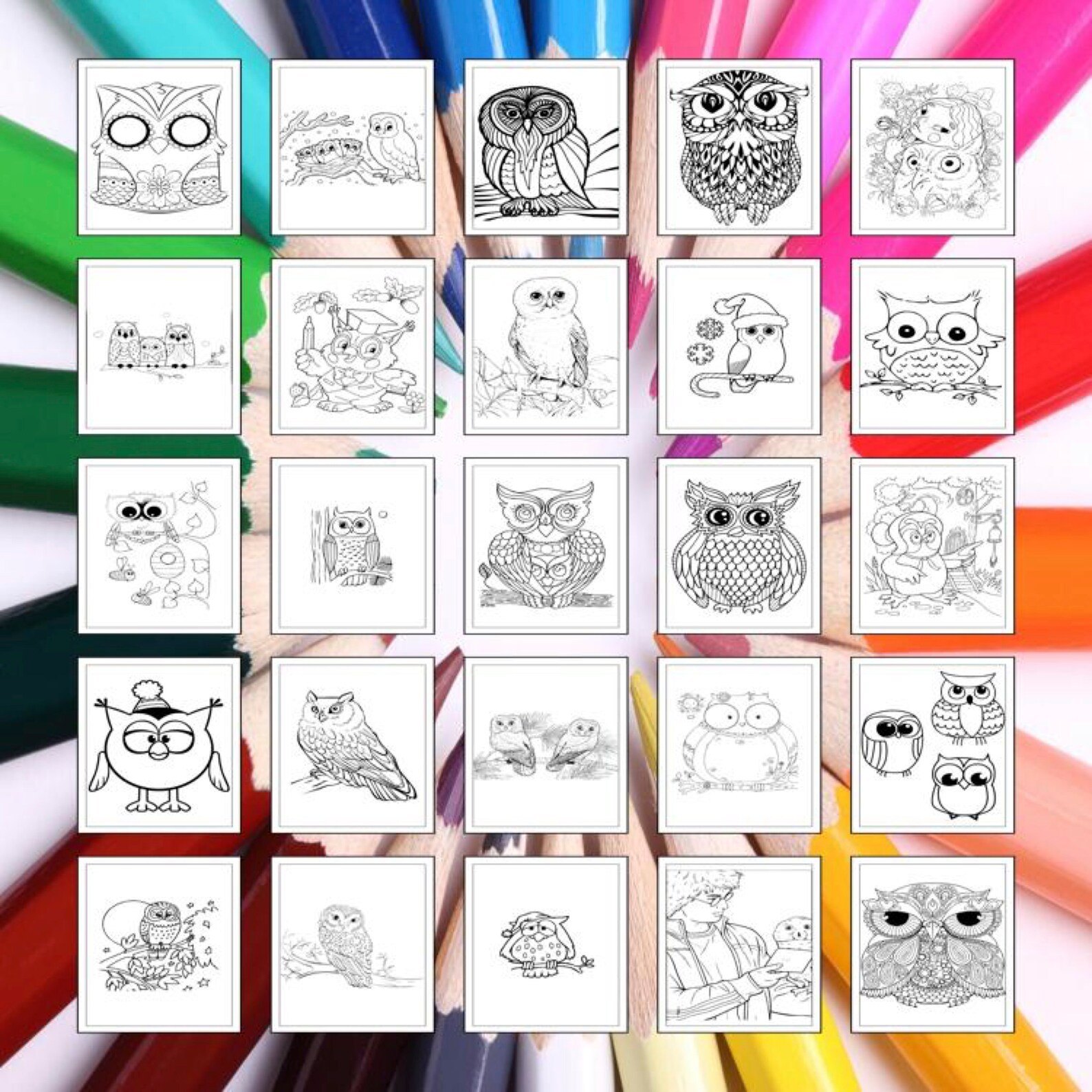 Printable Owl Coloring Pages for Kids and Adults | 100 Pages | Instant ...