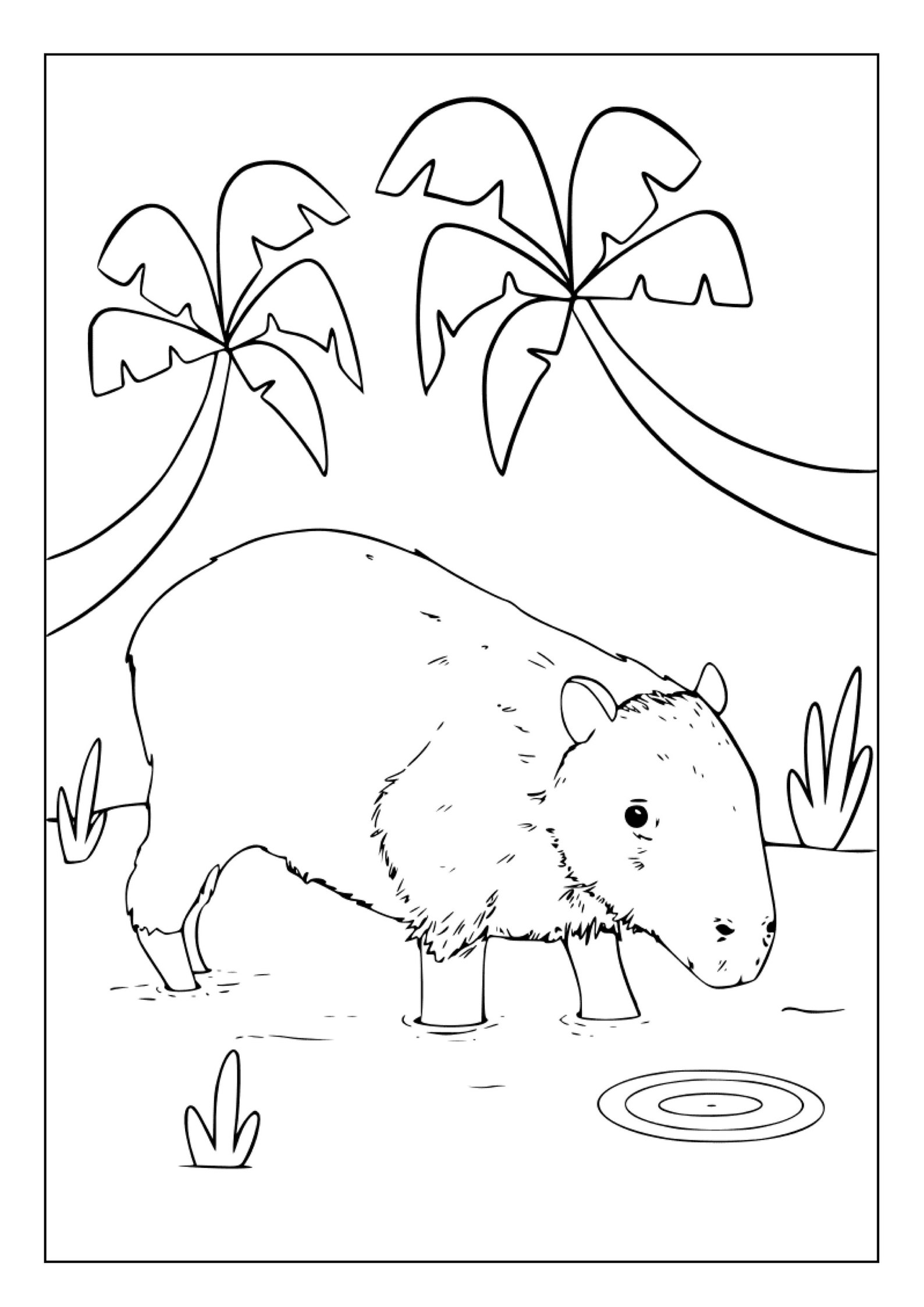 Printable Capybara Coloring Pages for Kids & Adults | 35 Pages ...