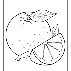 Printable Fruit Coloring Pages for Kids and Adults | 40 Pages | Instant ...