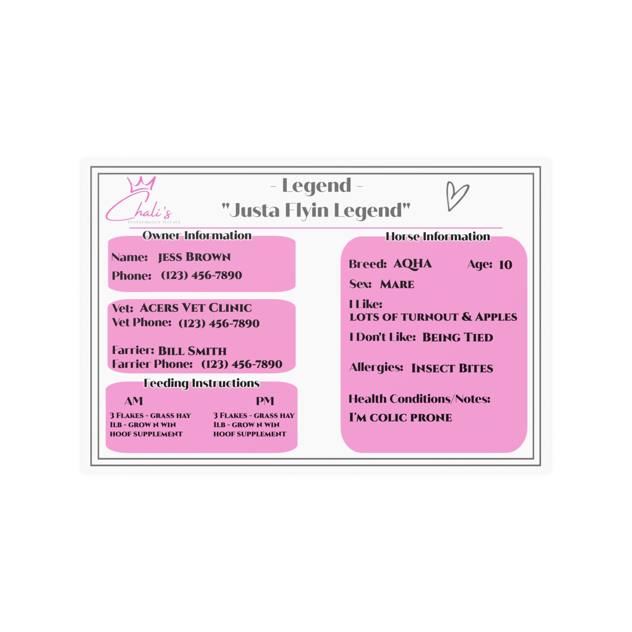 Horse Medical Information Stall Card for Training/boarding Barns - Etsy