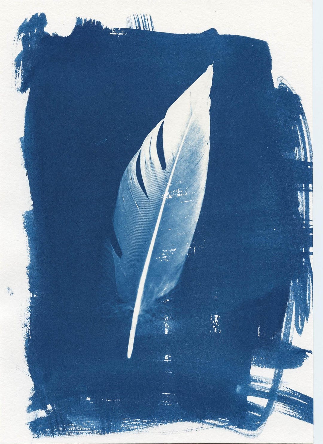 Digital Feather Cyanotype - Etsy