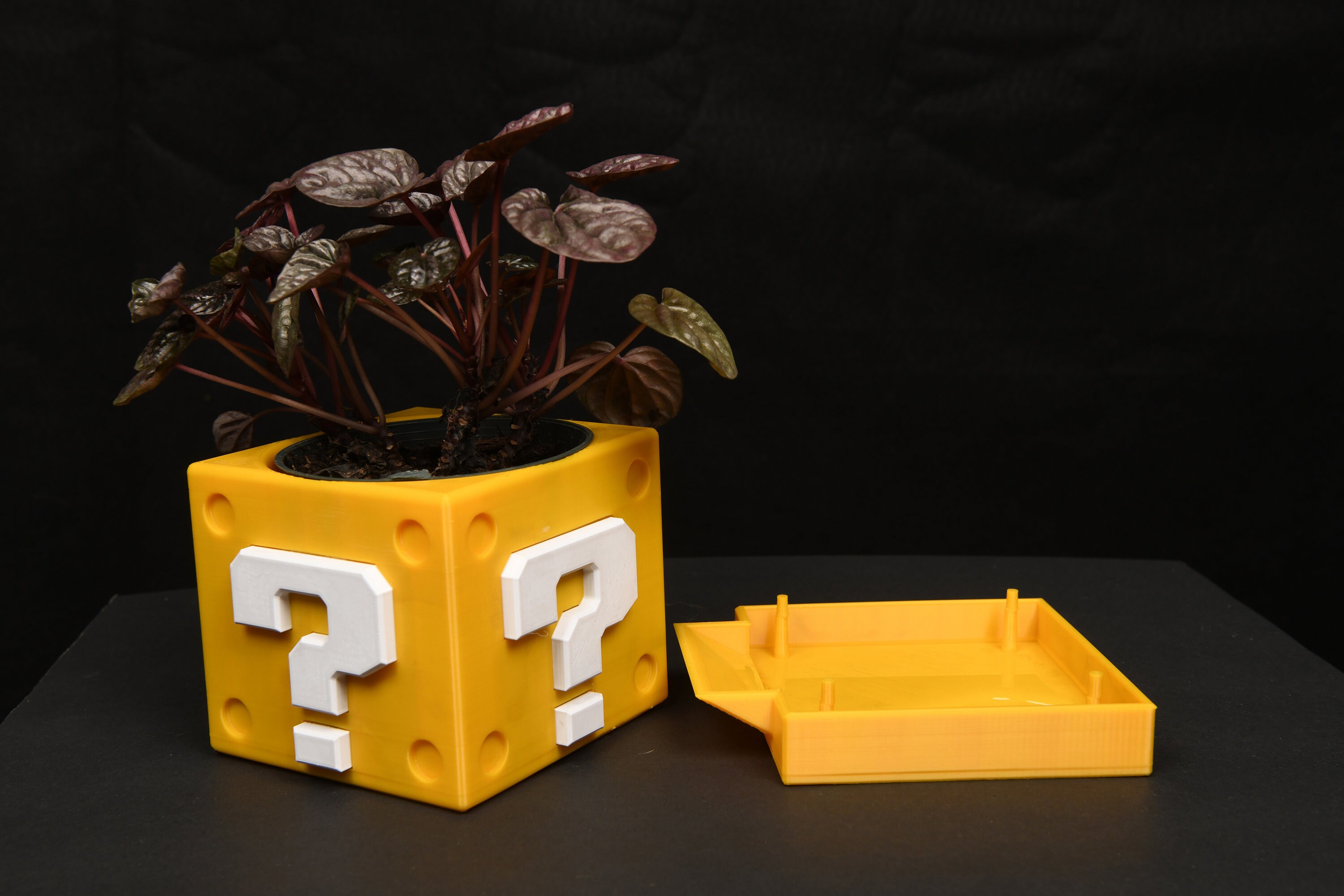 Mario Question Cube Planter Pot - Etsy