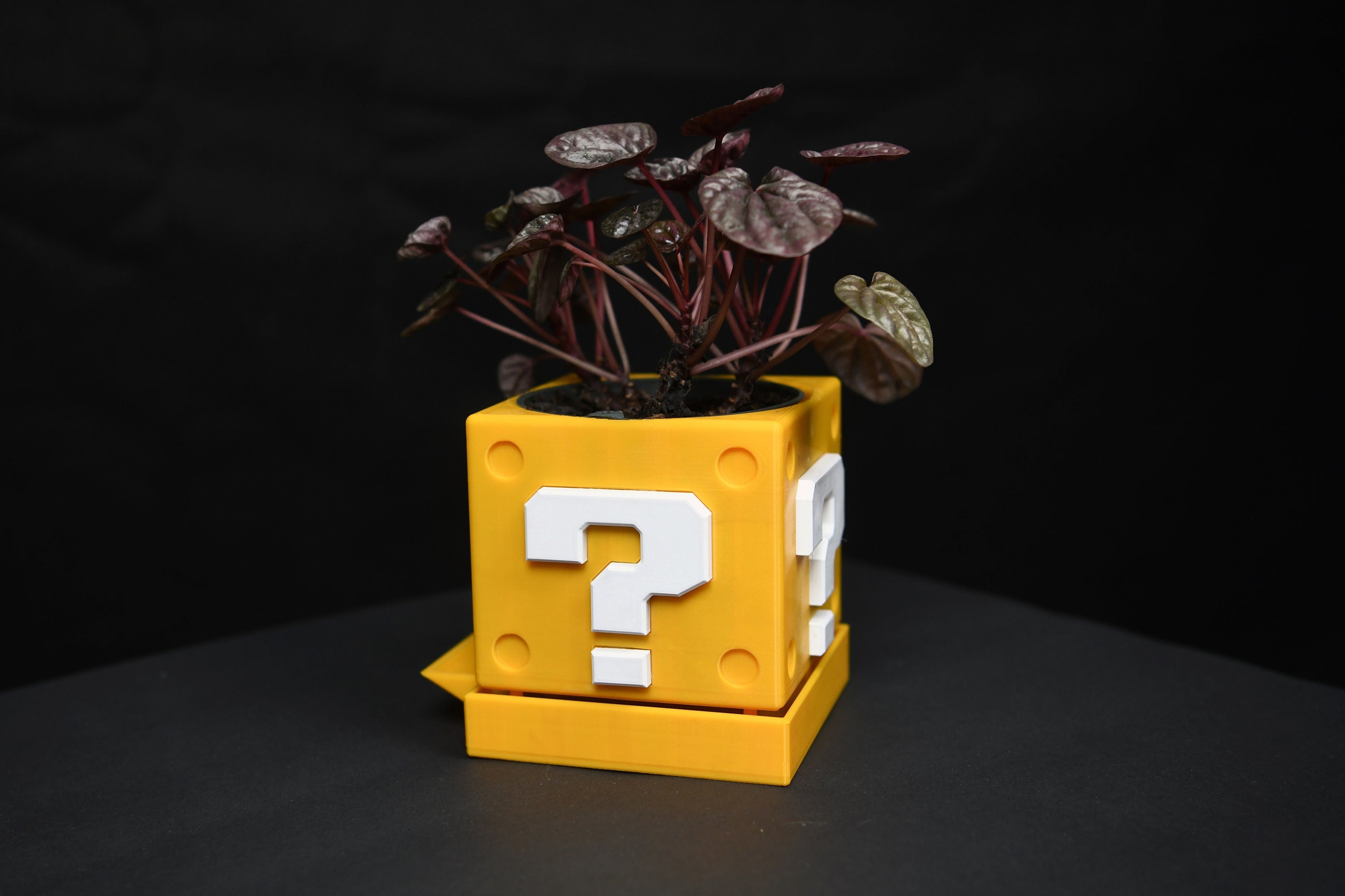 Mario Question Cube Planter Pot - Etsy