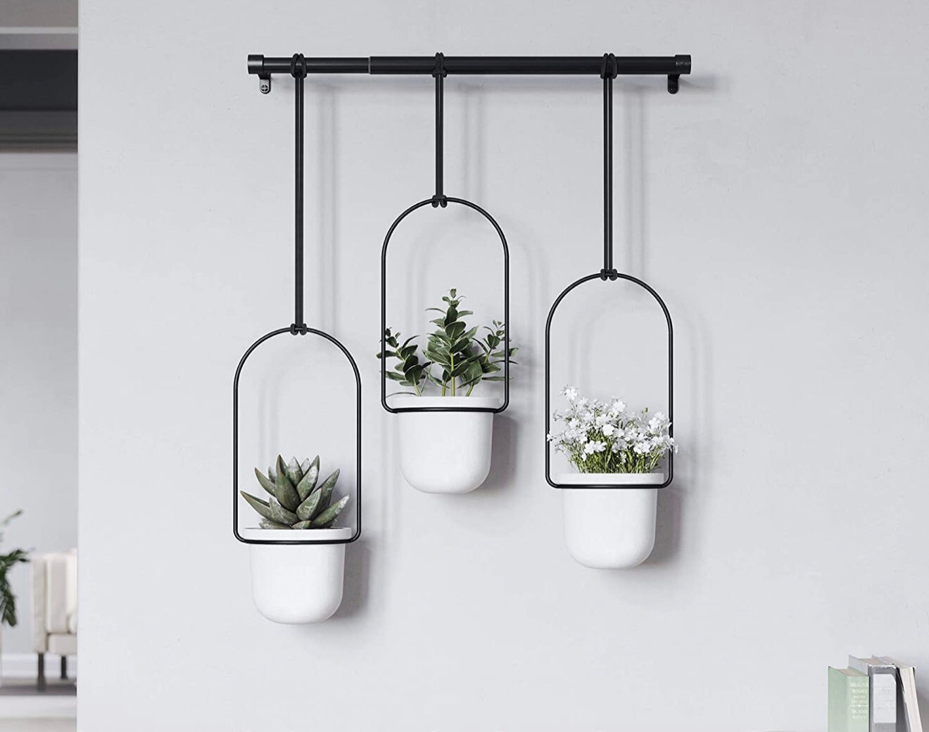 Triflora Hanging Planter for Window Indoor Herb Garden - Etsy