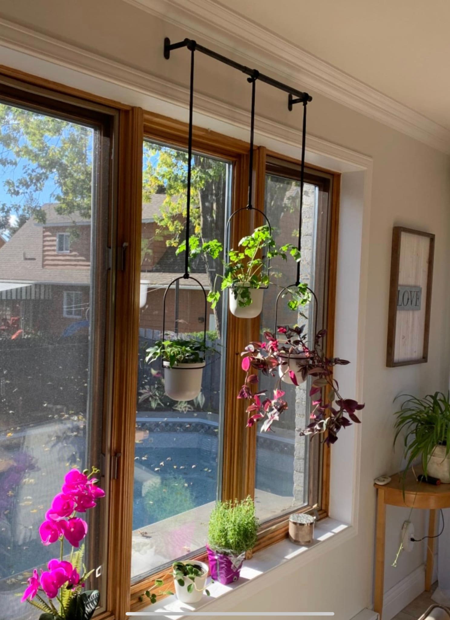 Triflora Hanging Planter for Window, Indoor Herb Garden, White/black ...