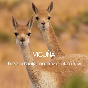 LUXURY 100% Vicuña Scarf | Vicuna Stole | Pure Peruvian Opulence in ...