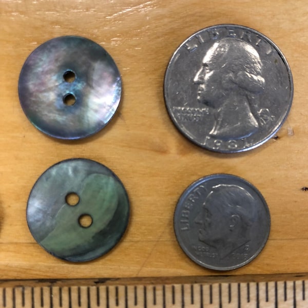Abalone Buttons - Etsy