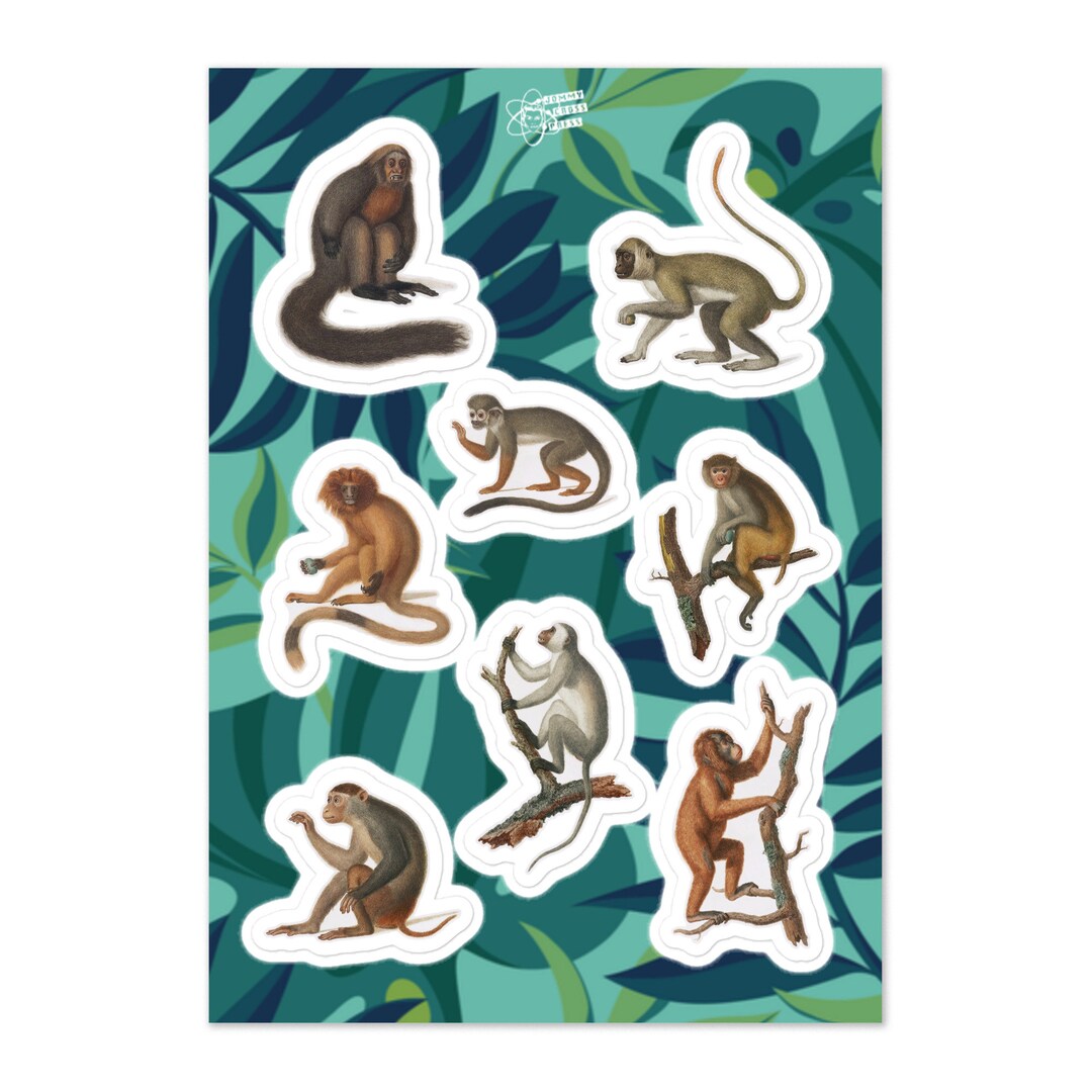 8" X 6" Monkey Safari Primate Sticker Sheet Number 2 Vintage Nursery ...