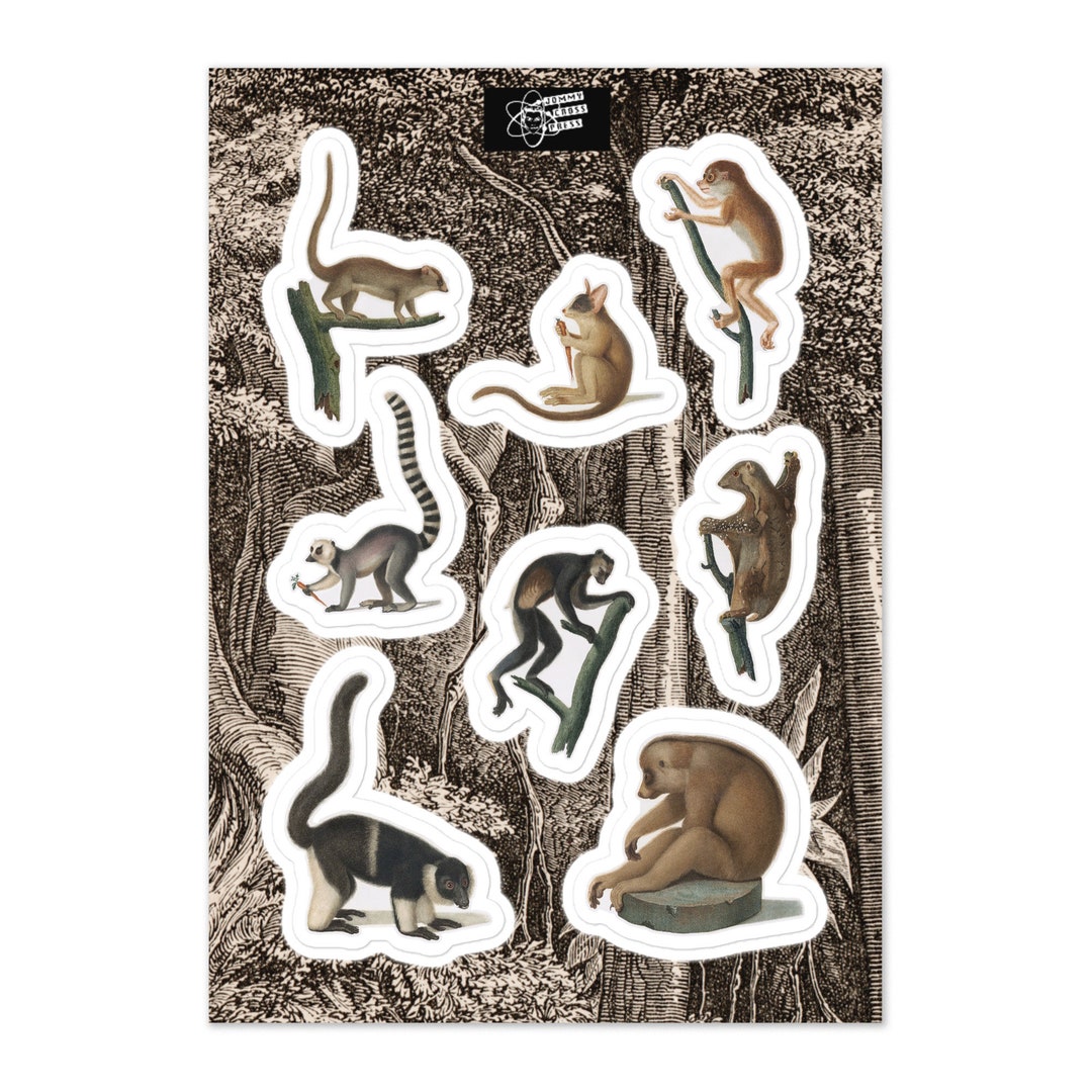 8" X 6" Monkey Lemur Loris Safari Primate Sticker Sheet Number 7 ...