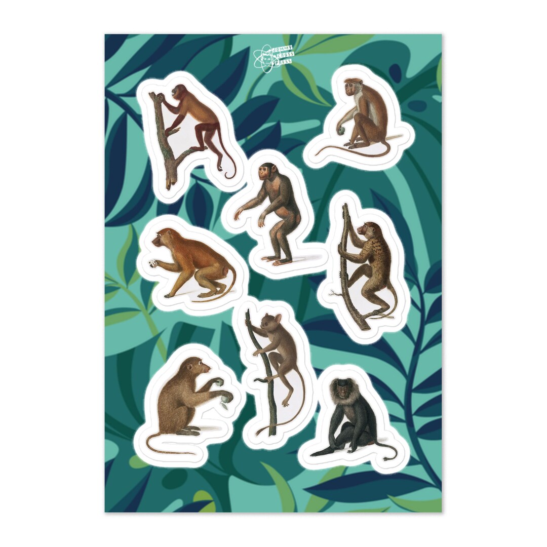 8" X 6" Monkey Safari Primate Sticker Sheet Number 1 Vintage Nursery ...