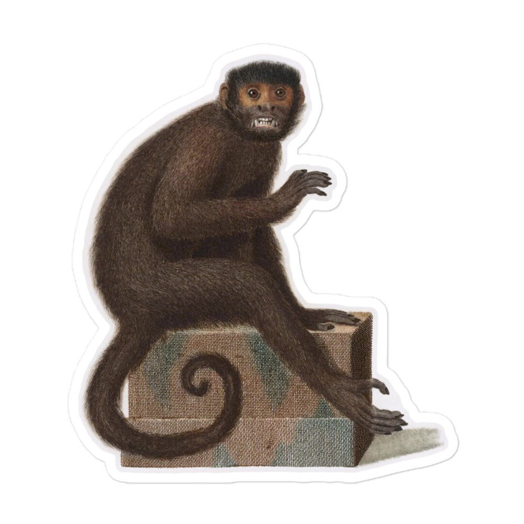 Tufted Capuchin Monkey Sticker Safari Primate Vintage Retro Nursery ...