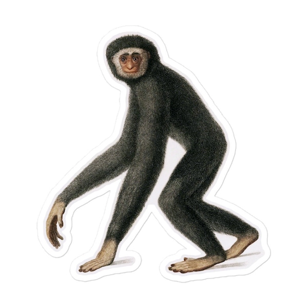 Gibbon - Etsy