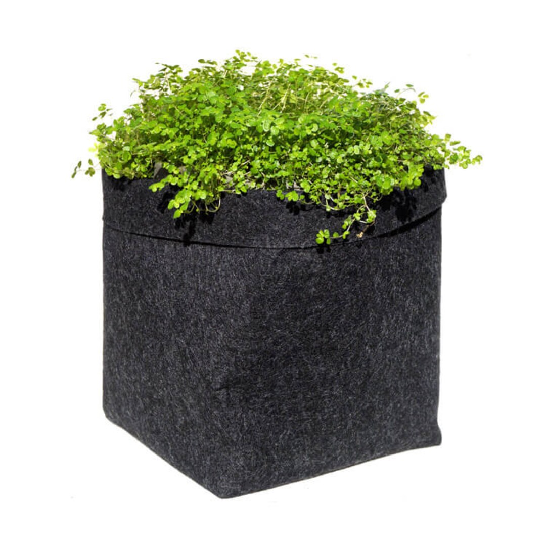 Set of 10 19L Geotextile Pots, Indoor Cultivation, Growbags, Pot for ...
