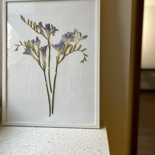 Herbarium Frame - Etsy