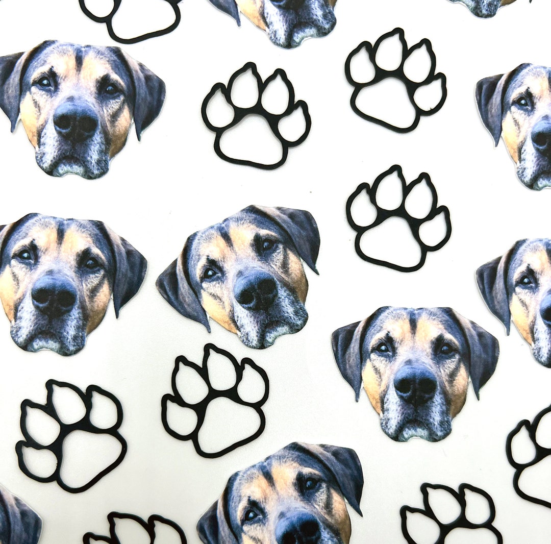 Pet Face Confetti, Dog Party Decor, Pet Confetti, Dog Party Favors, Dog ...