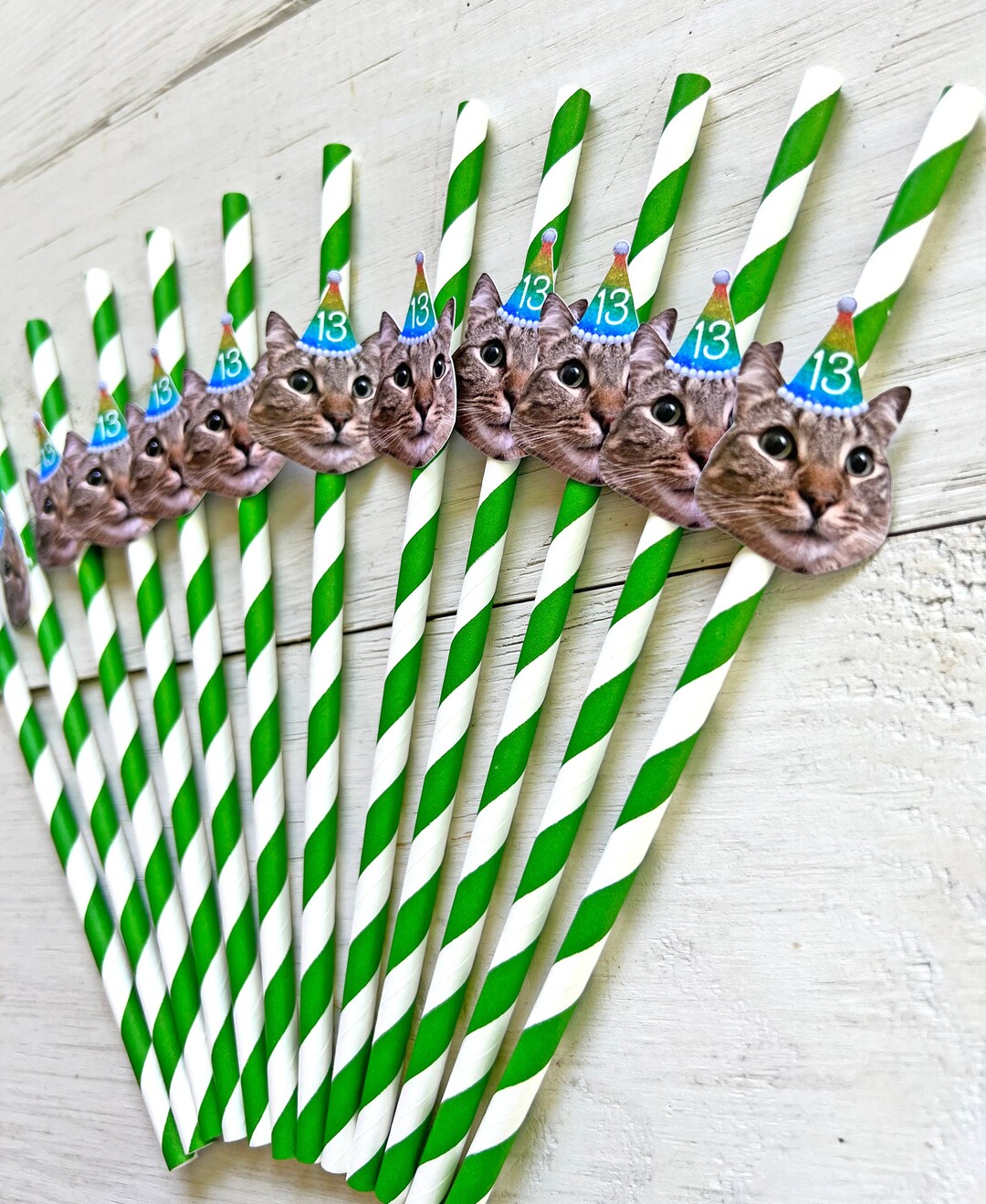 Custom Photo Straws, Custom Face Straws, Custom Pet Straw, 12 Count ...