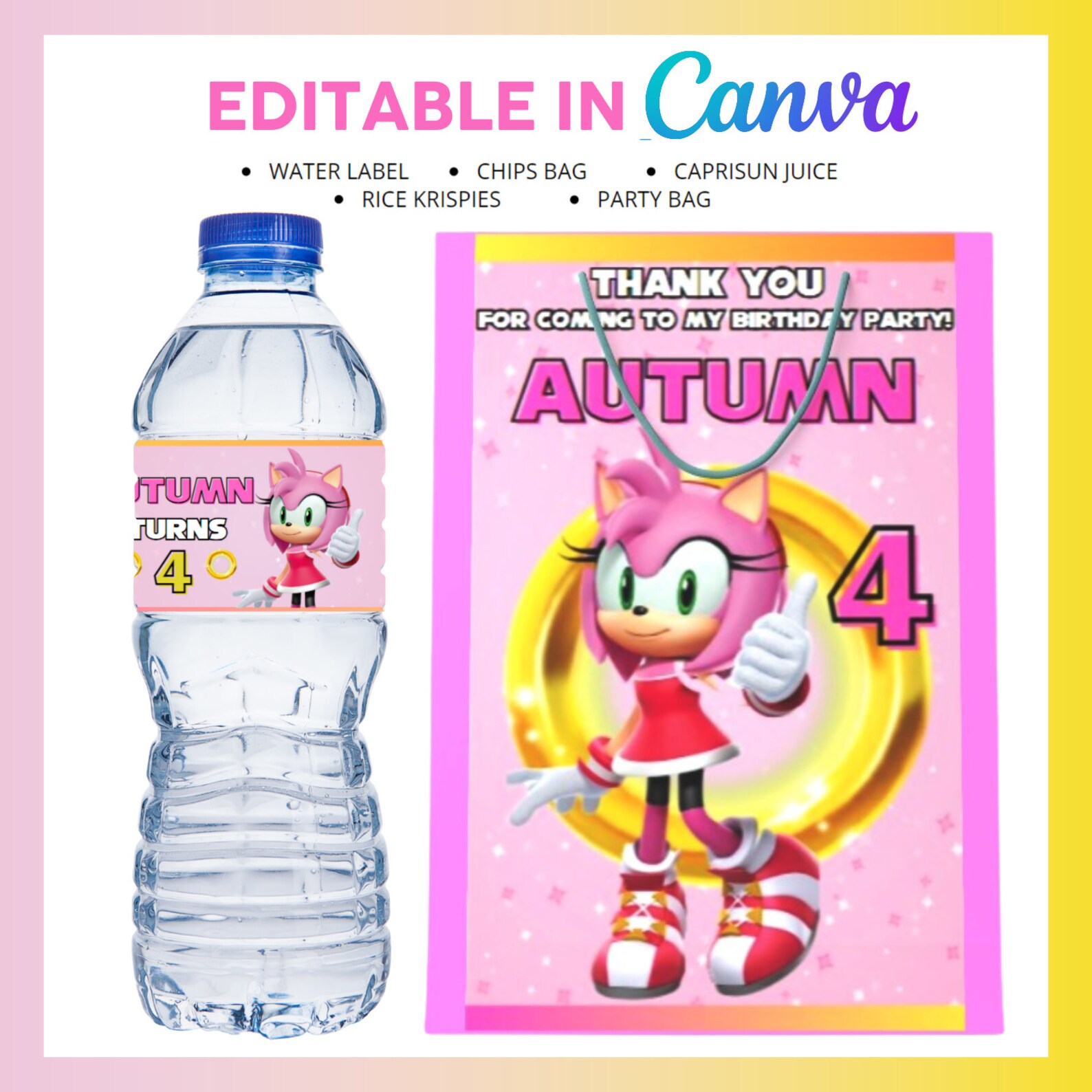 Sonic Amy Rose 5 Party Favors, Water Bottle, Chip, Rice Krispies, Juice ...