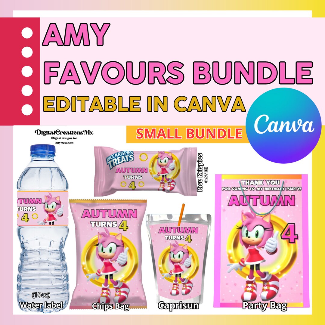 Sonic Amy Rose 5 Party Favors, Water Bottle, Chip, Rice Krispies, Juice ...