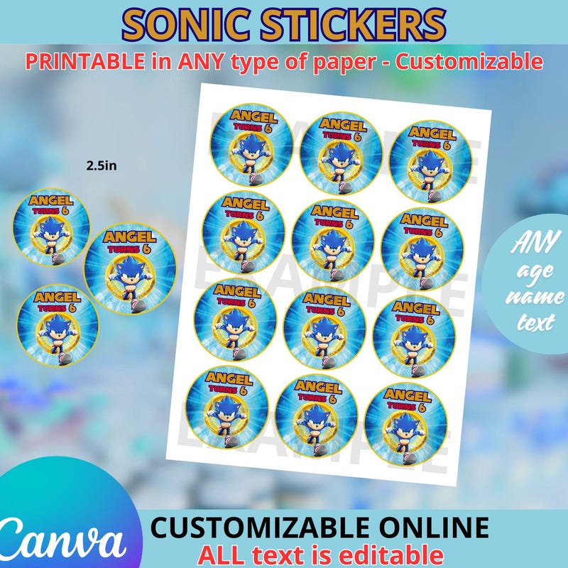 Sonic Container Box - Etsy UK