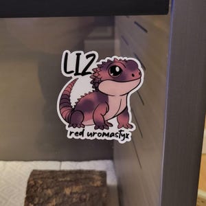 Cute Red Uromastyx, Spiny-tailed Lizard Water-resistant Vinyl Sticker ...