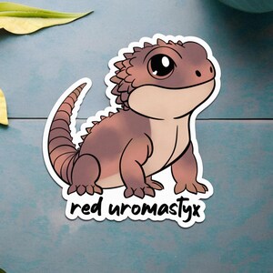 Cute Red Uromastyx, Spiny-tailed Lizard Water-resistant Vinyl Sticker ...