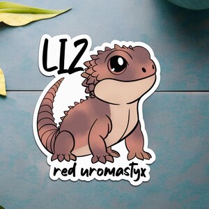 Cute Red Uromastyx, Spiny-tailed Lizard Water-resistant Vinyl Sticker ...