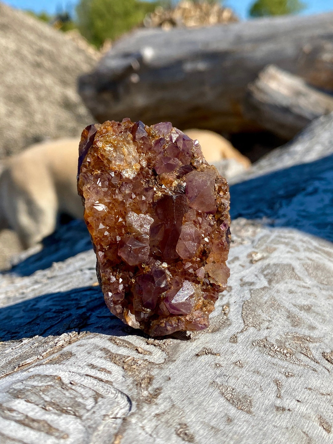 Alien Amethyst Hematite Included Amethyst Psychic Crystal Protection ...