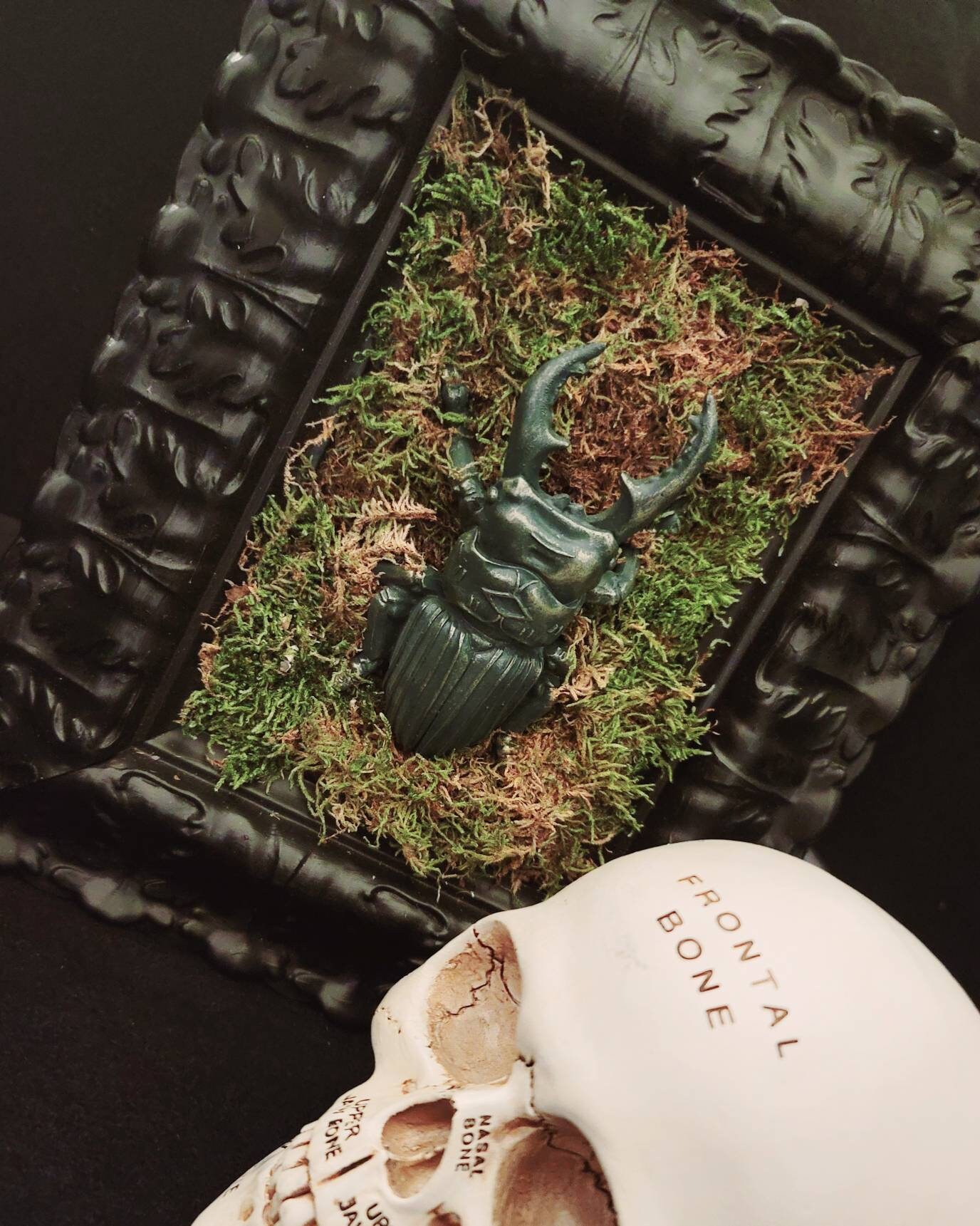 Home & Living Stag beetle mini chest Home Décor etna.com.pe