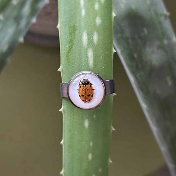 Ladybug Ring - Etsy