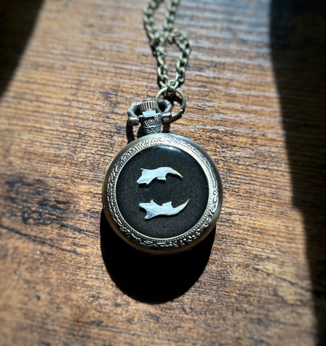 Real Bone Pocket Watch Bone Oddities, Taxidermy, Vintage Antique Bronze ...