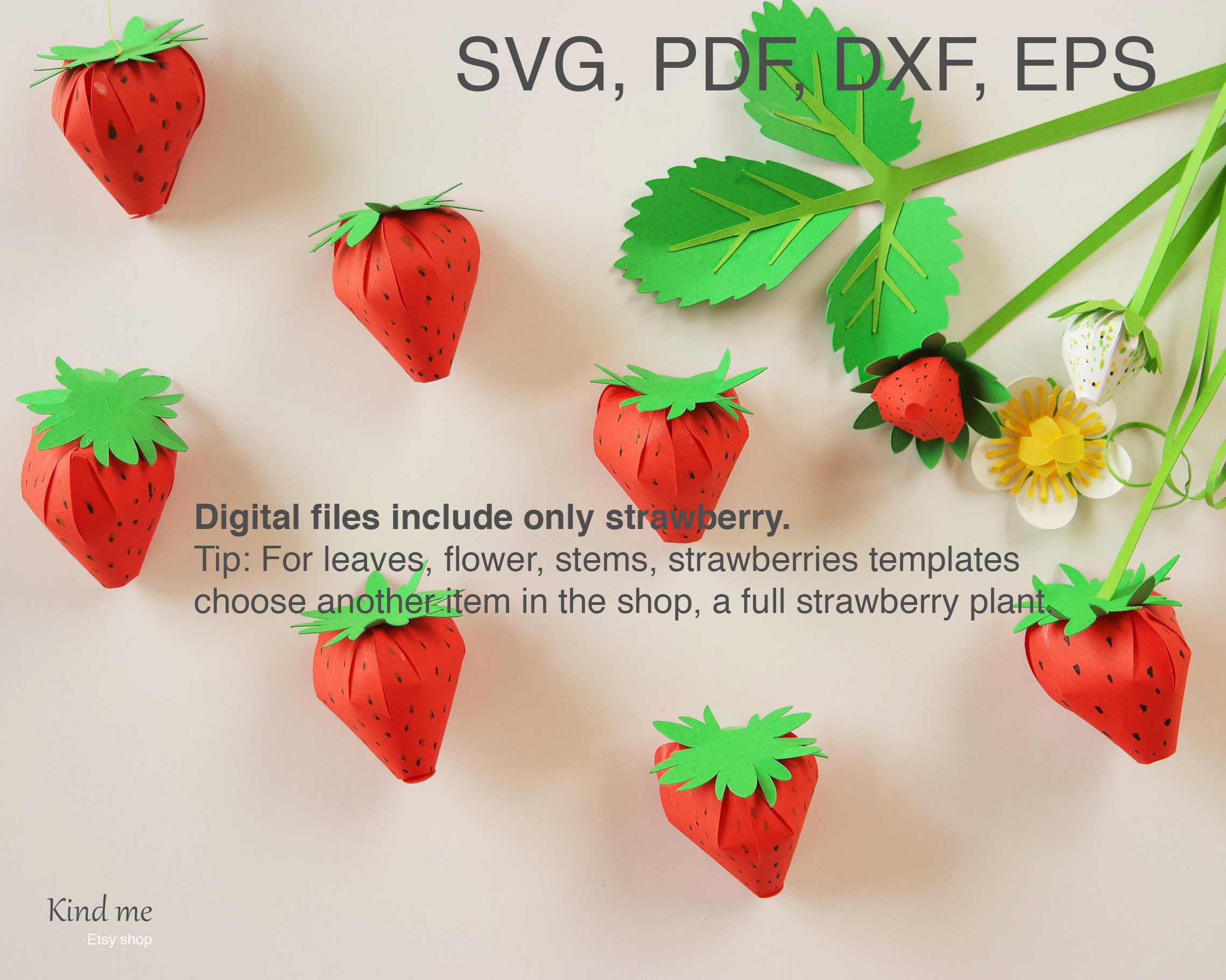 Plantilla de fresa para Cricut, svg, pdf, esp, dxf, instrucciones ...