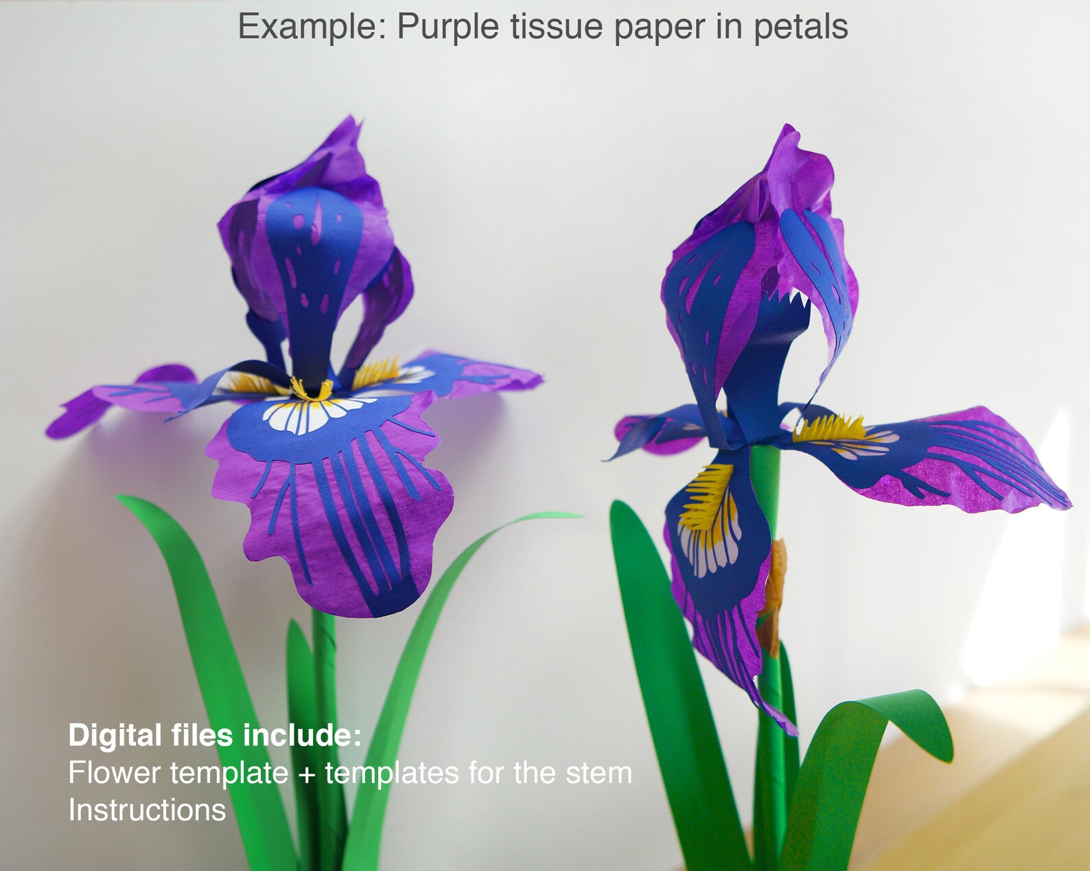 Iris Flower Template for Cricut, Svg, Pdf, Esp, Dxf, Instructions ...