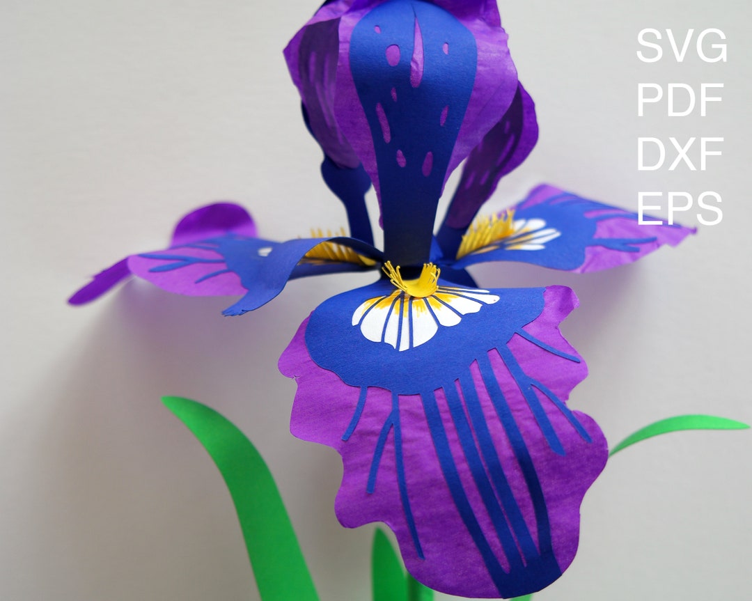Iris Flower Template for Cricut Svg Pdf Esp Dxf - Etsy