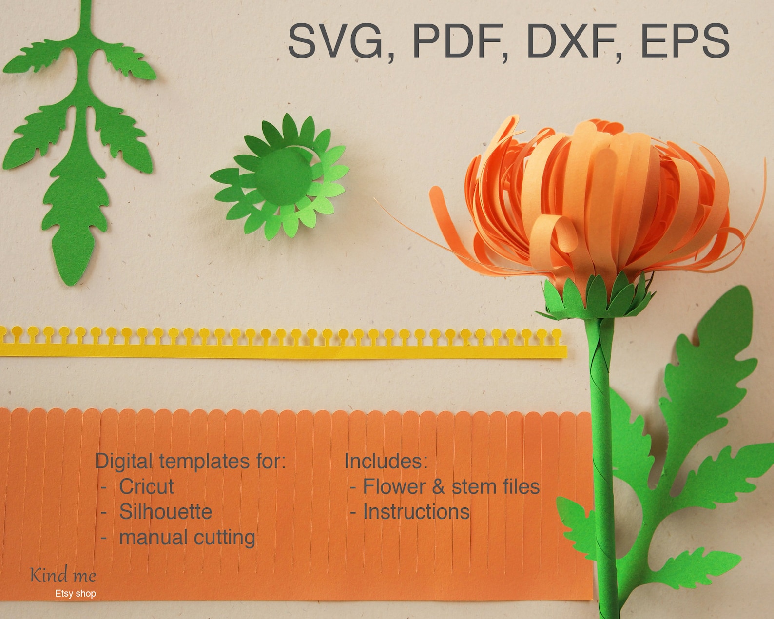 Chrysanthemum Flower Template for Cricut, Svg, Pdf, Esp, Dxf ...