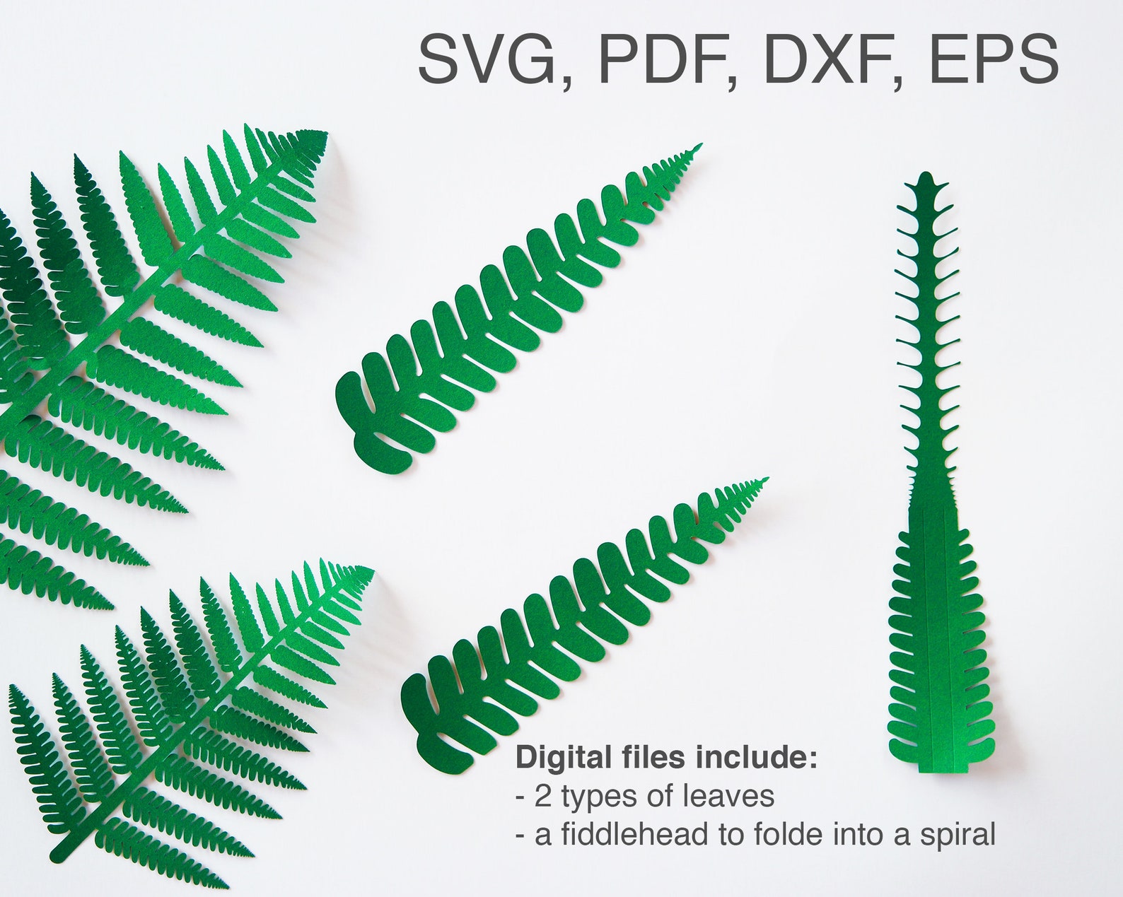 Fern Leaf & Fiddlehead Templates for Cricut, Svg, Pdf, Esp, Dxf ...