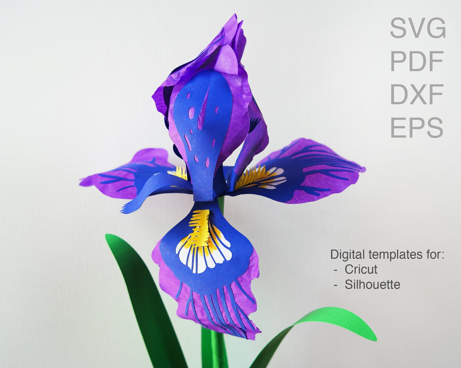 Iris Flower Template for Cricut, Svg, Pdf, Esp, Dxf, Instructions ...