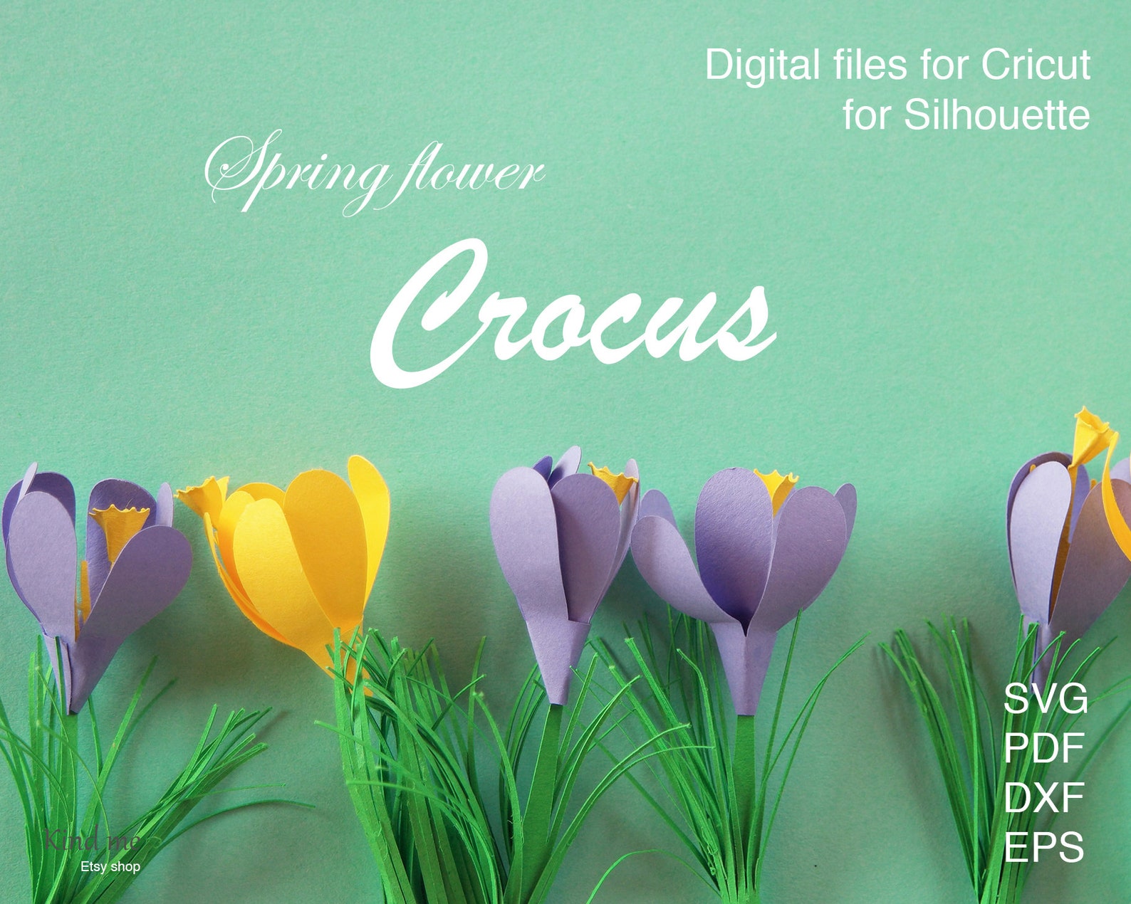 Crocus Spring Flower Digital Template for Cricut Svg Pdf - Etsy