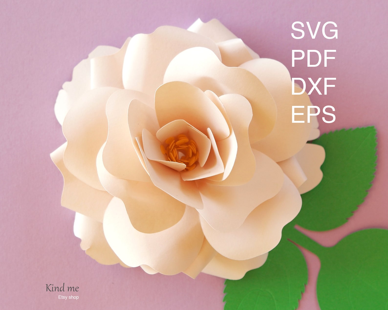 Rose Template for Cricut, Svg, Pdf, Esp, Dxf, Instructions Included ...