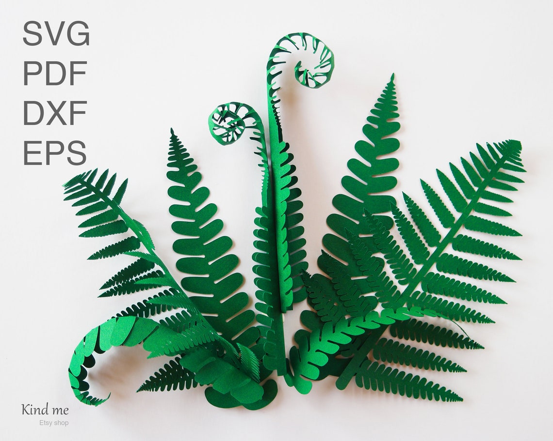 Fern Leaf & Fiddlehead Templates for Cricut Svg Pdf Esp - Etsy