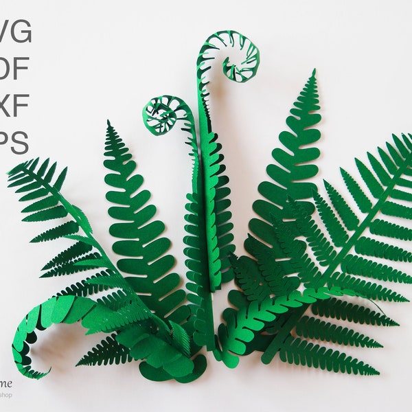 Fern Paper Cards - Etsy