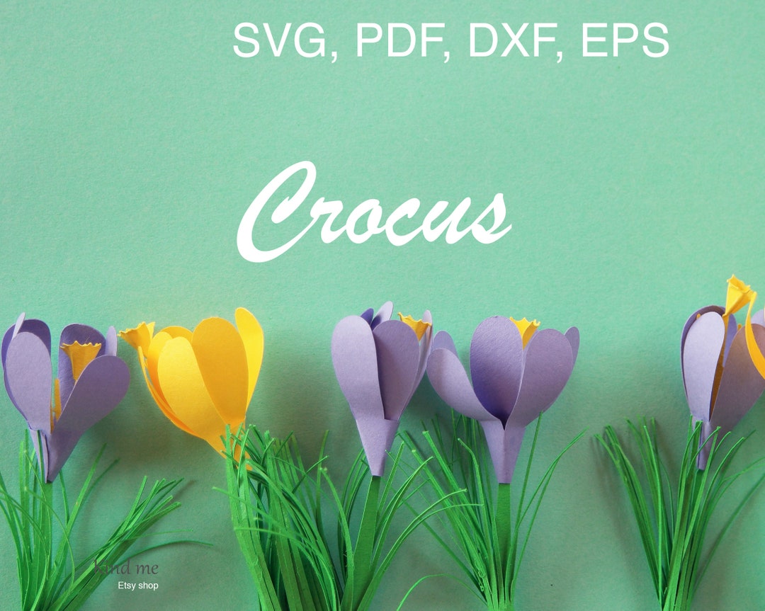 Crocus Spring Flower Digital Template for Cricut, Svg, Pdf, Esp, Dxf ...