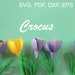 Crocus Spring Flower Digital Template for Cricut, Svg, Pdf, Esp, Dxf ...